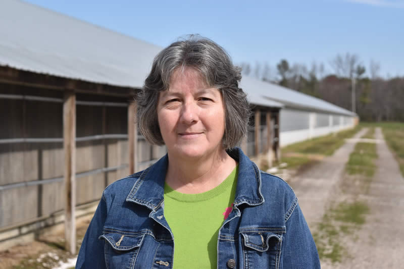 Chicken Economic Report Shows Effects of COVID-19 Headwinds | Delmarva ...