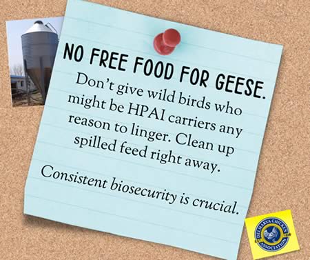 HPAI Resources | Delmarva Chicken Association